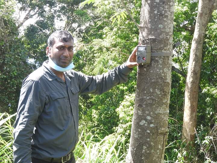 Trap Cameras in Borail Wildlife Sanctuary; "We can develop it as a ...