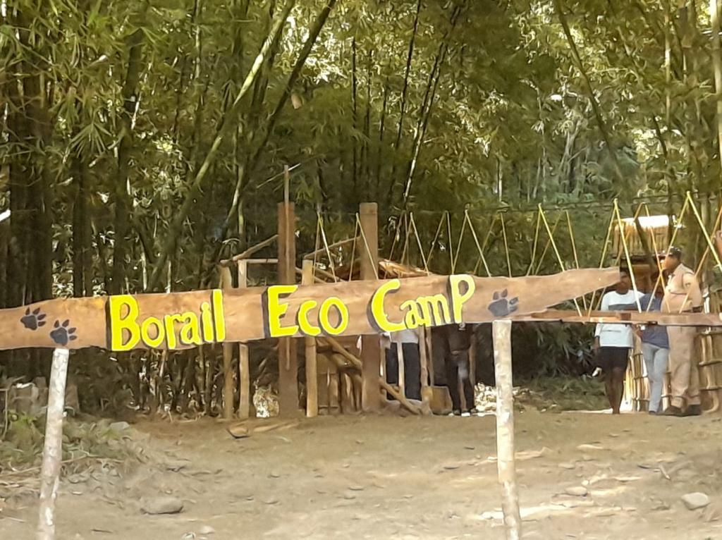 Cachar Forest Division declares 'Borail Eco Camp' open; Offers ...