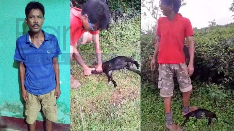 Barak Bulletin Exposé Spurs Action, Hilara Tea Garden Staff Arrested ...